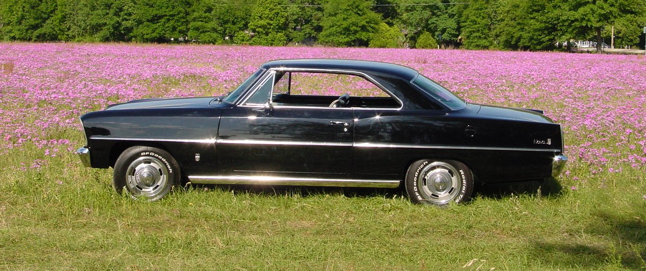 3 Novas Before Age 19 | FLA Car Shows