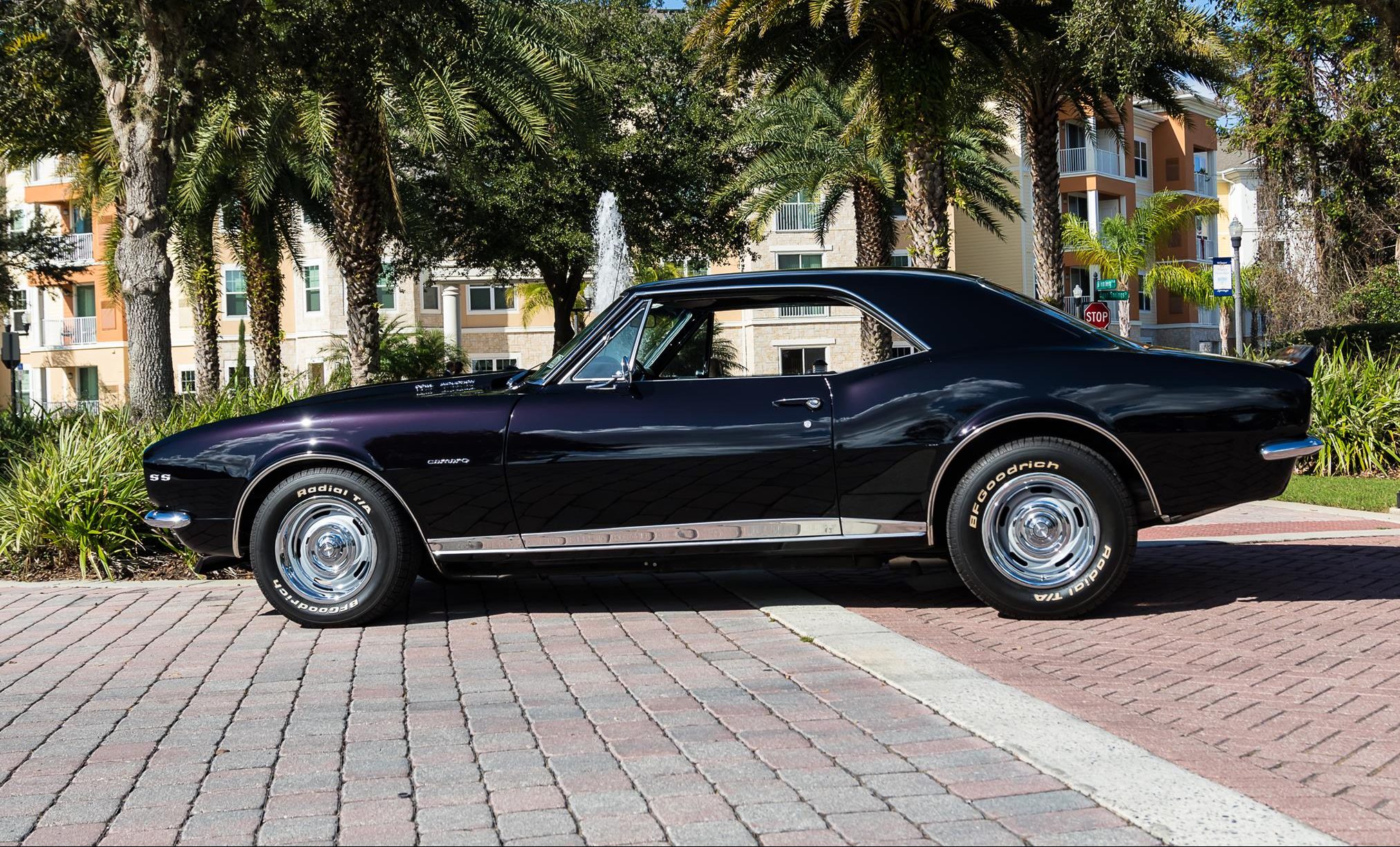 Better Off Dead: A Camaro Story… | FLA Car Shows