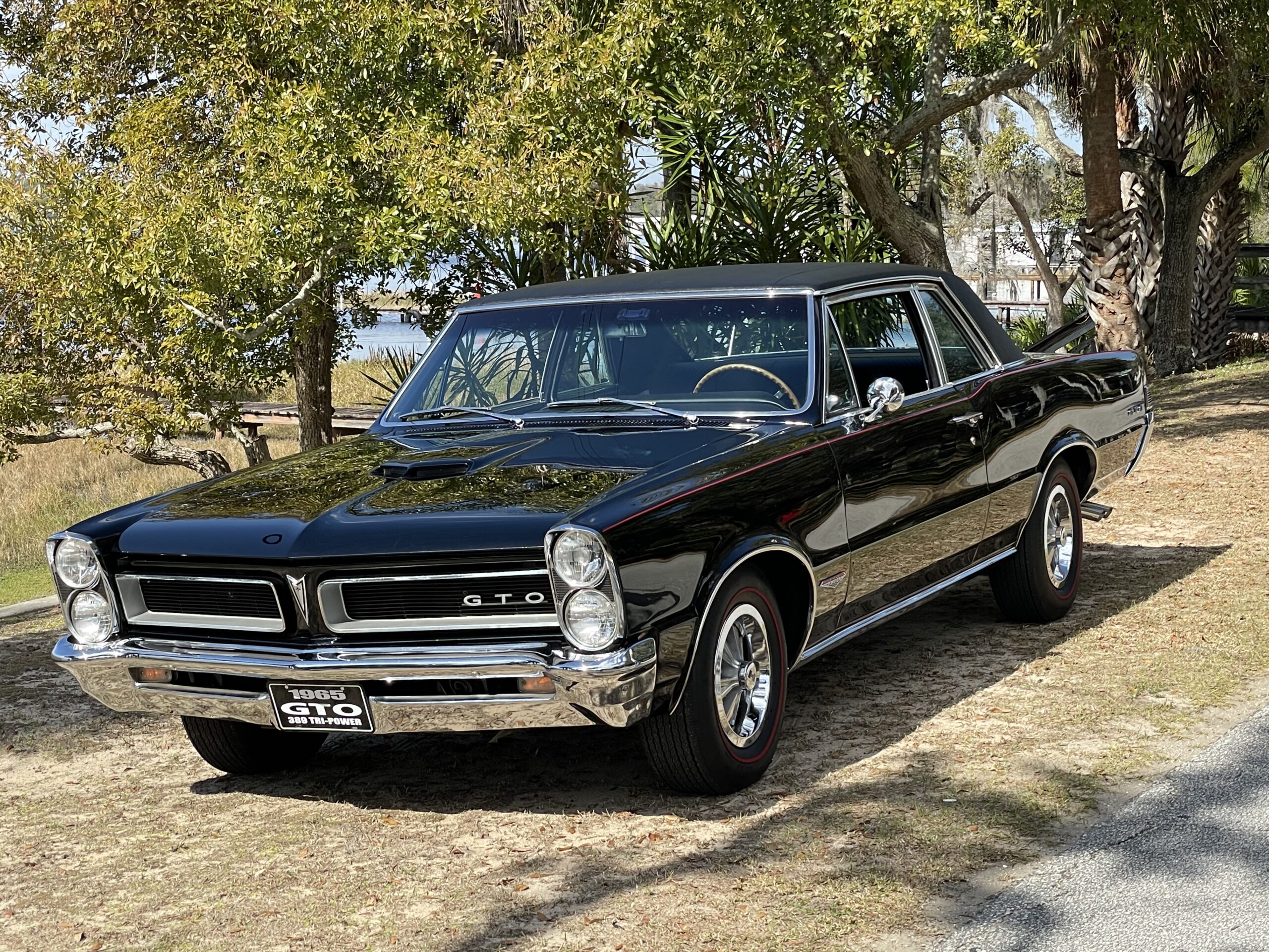 GTO Back After 35 Years | FLA Car Shows