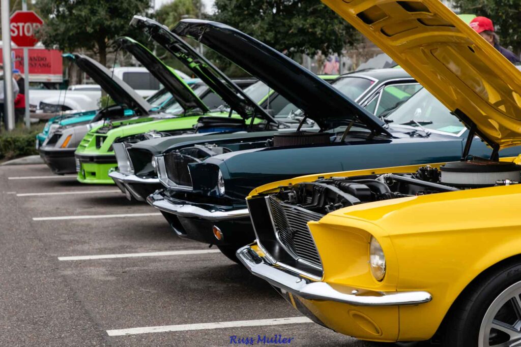 Mustang & Ford Roundup Event Coverage | FLA Car Shows