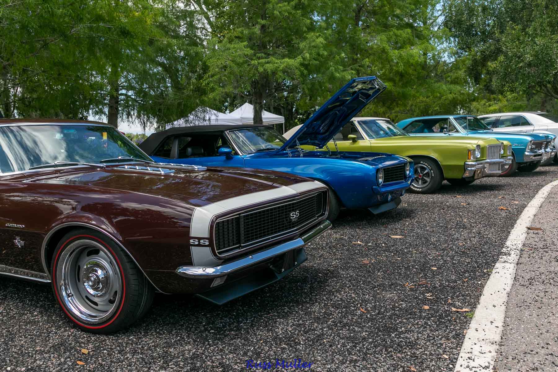 Rock N’ Blues Concert & Car Show | FLA Car Shows